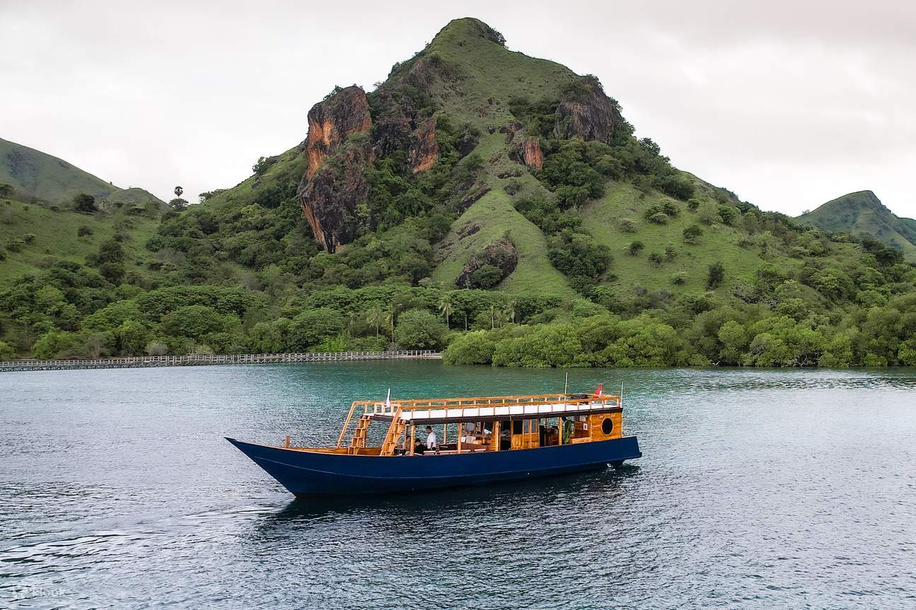 One Day Komodo Tour With Luxury Wooden Boat from Labuan Bajo - Klook