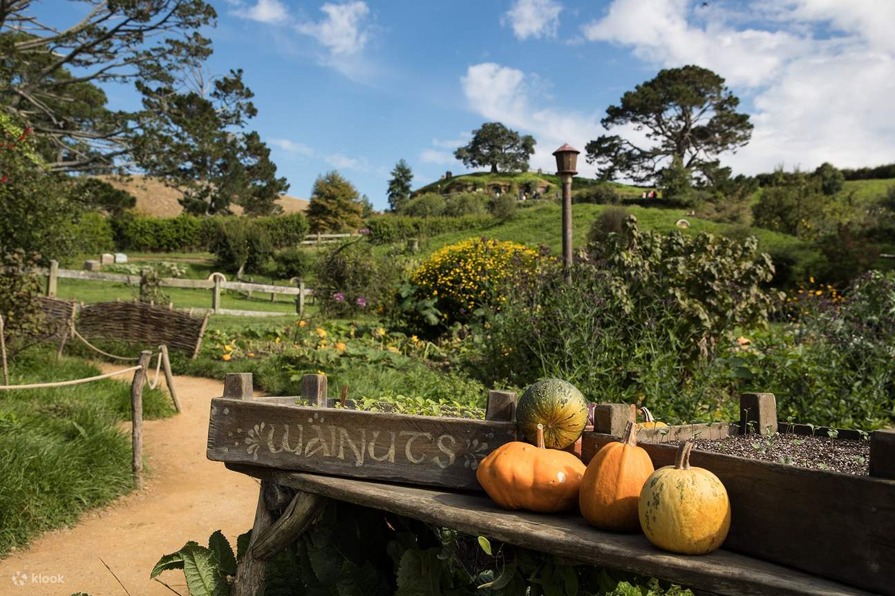 Hobbiton en Waitomo Caves Tour vanuit Auckland - Klook Verenigde Staten