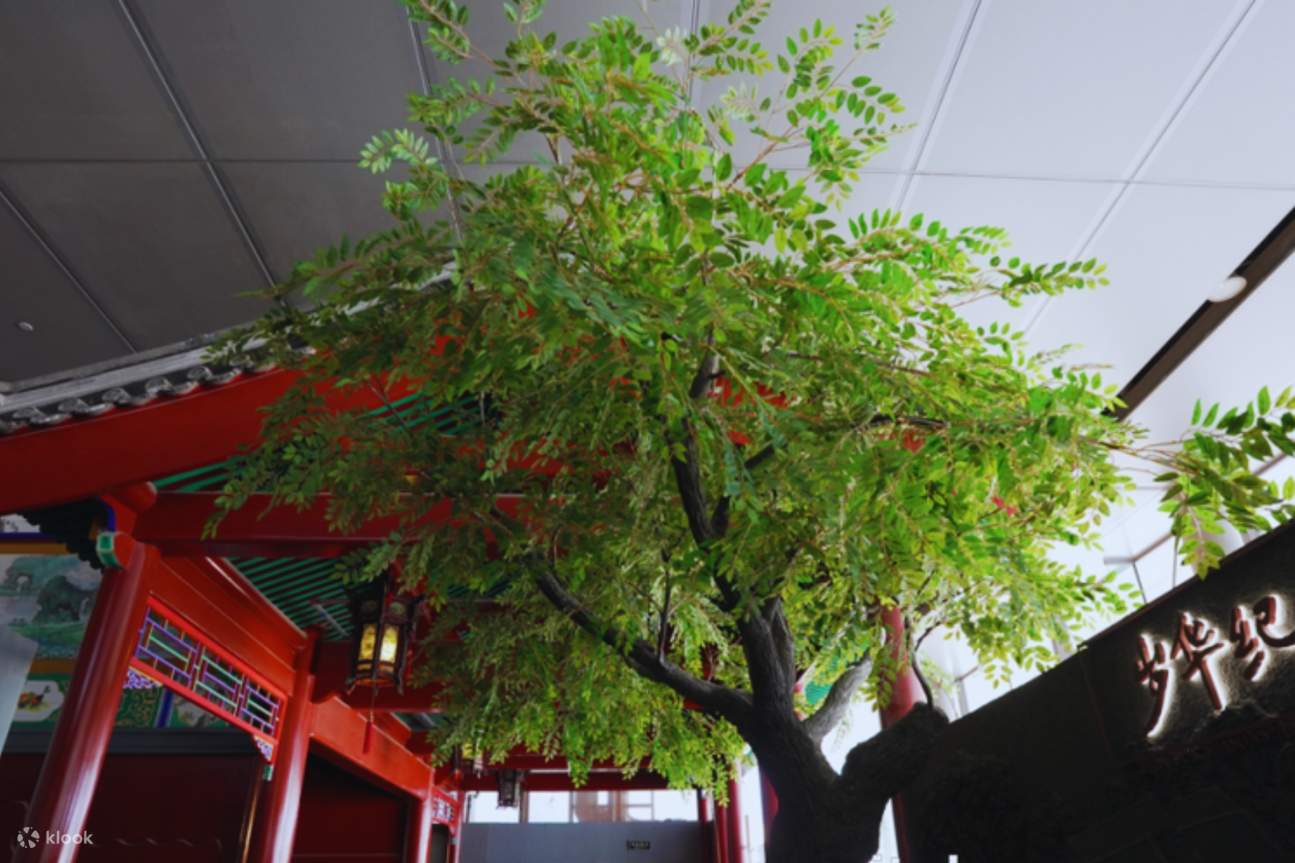 Beijing：Capital Museum Hidden Treasures Guided Cultural Tour - Klook ...