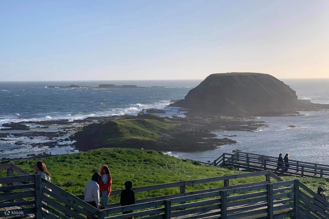 Small Group Philip Island Express Penguin & Wallaby Spoting - Klook ...