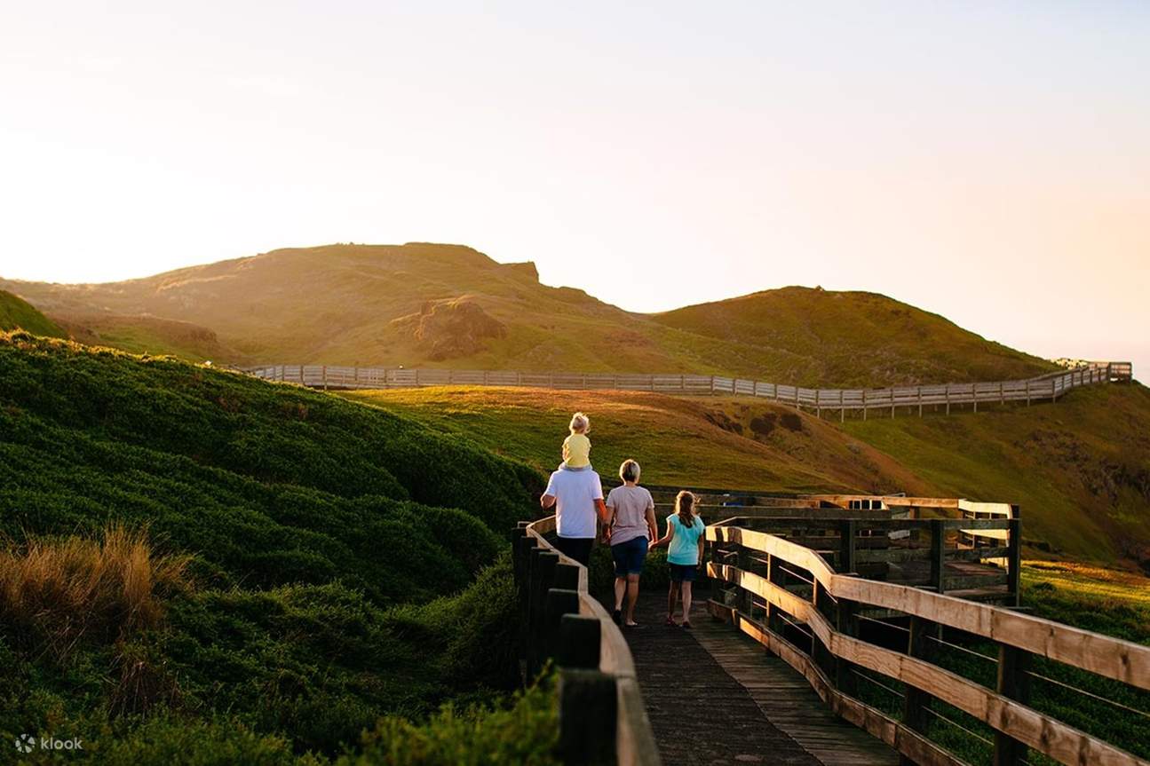 Private Phillip Island Tour with Penguin Parade Ticket in Melbourne ...