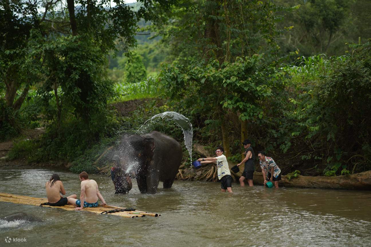 Private Private Elephant Care, Bamboo Rafting, Long Neck Karen And ...