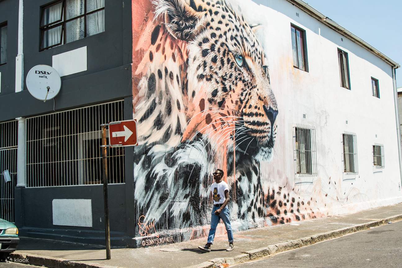 Street Art Walking Tour in Cape Town - Klook