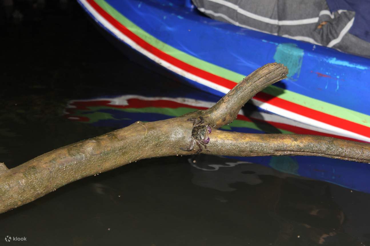 Canoeing Experience in Tanjung Benoa Bali - Klook
