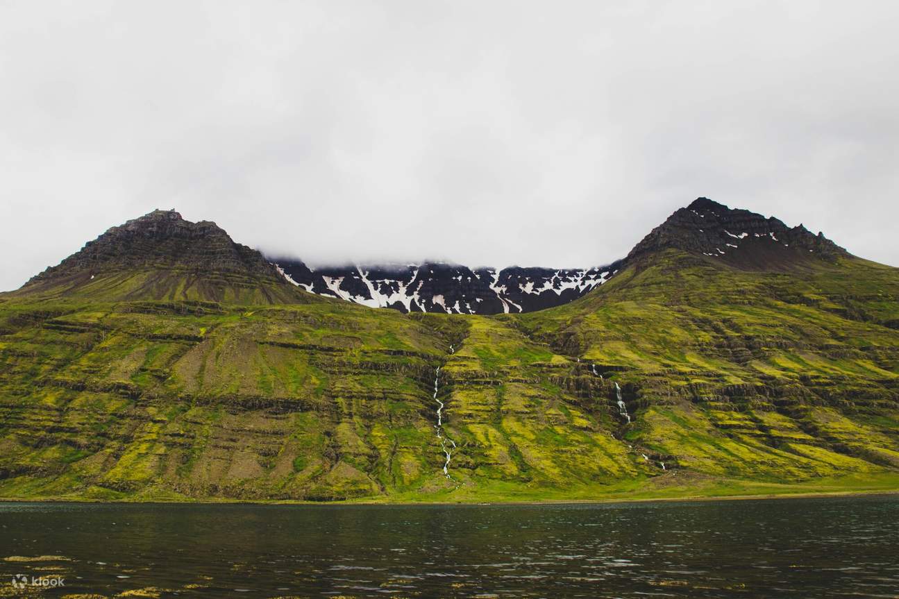 Akureyri: Private Whale Watching and Arctic Coastline Tour - Klook