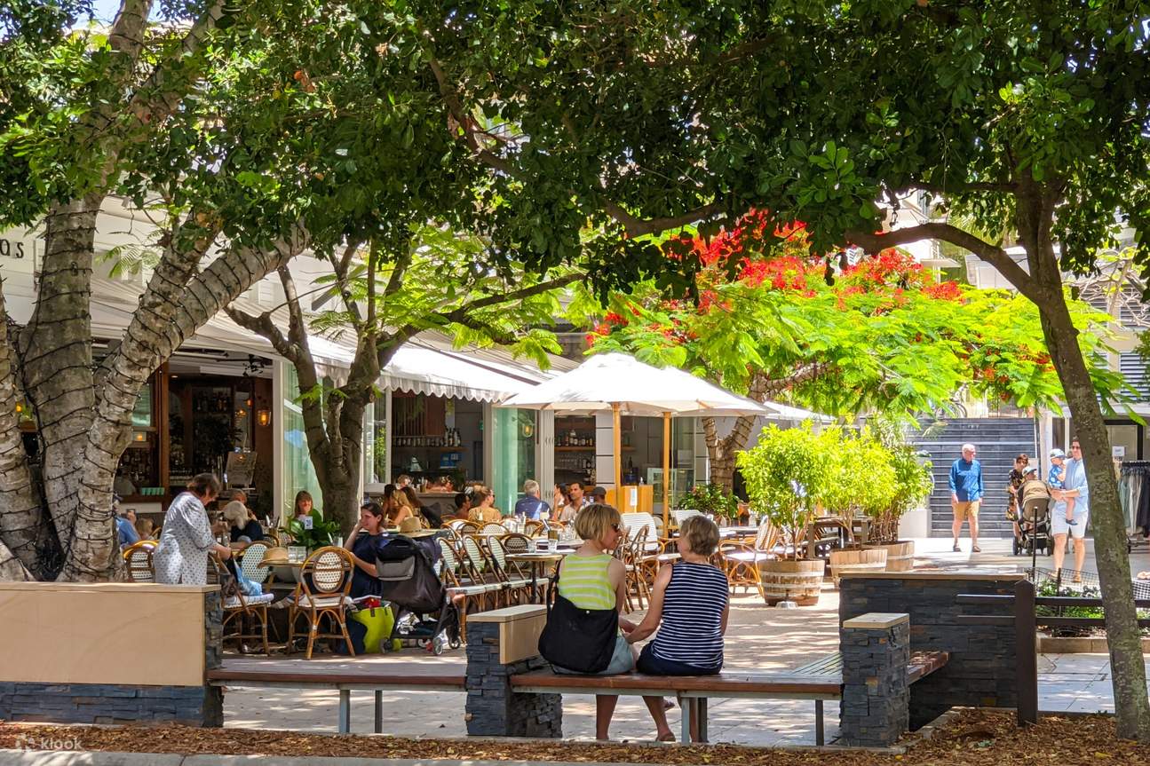 Noosa, Aussie Animals & Glass House Mountains from Brisbane - Klook ...