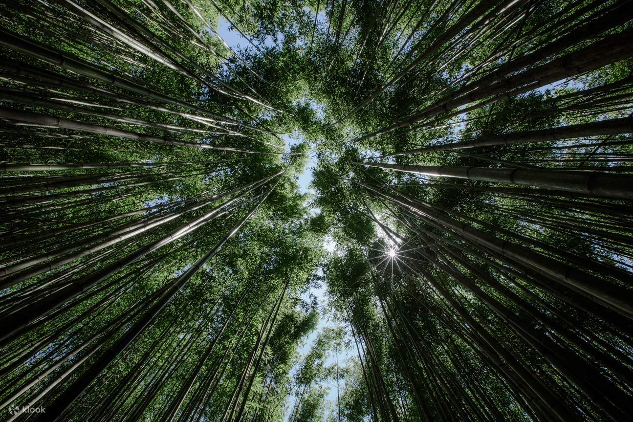 [God's Tribe] Hsinchu Sima Kusi & Zhenxibao Shenmu Group 2 days 1 night ...