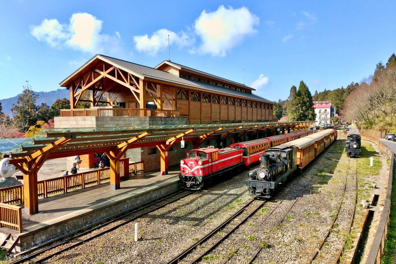 Alishan, Chiayi | 2-Day, 1-Night | Sunrise Forest Healing Trip ...