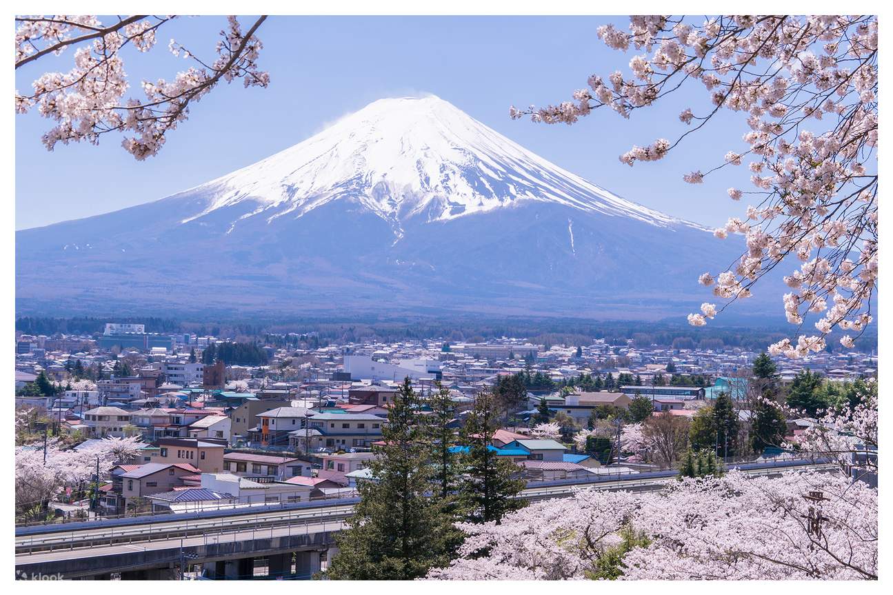 Excursión panorámica de un día al Monte Fuji - Centro del Patrimonio Mundial del Monte Fuji ...