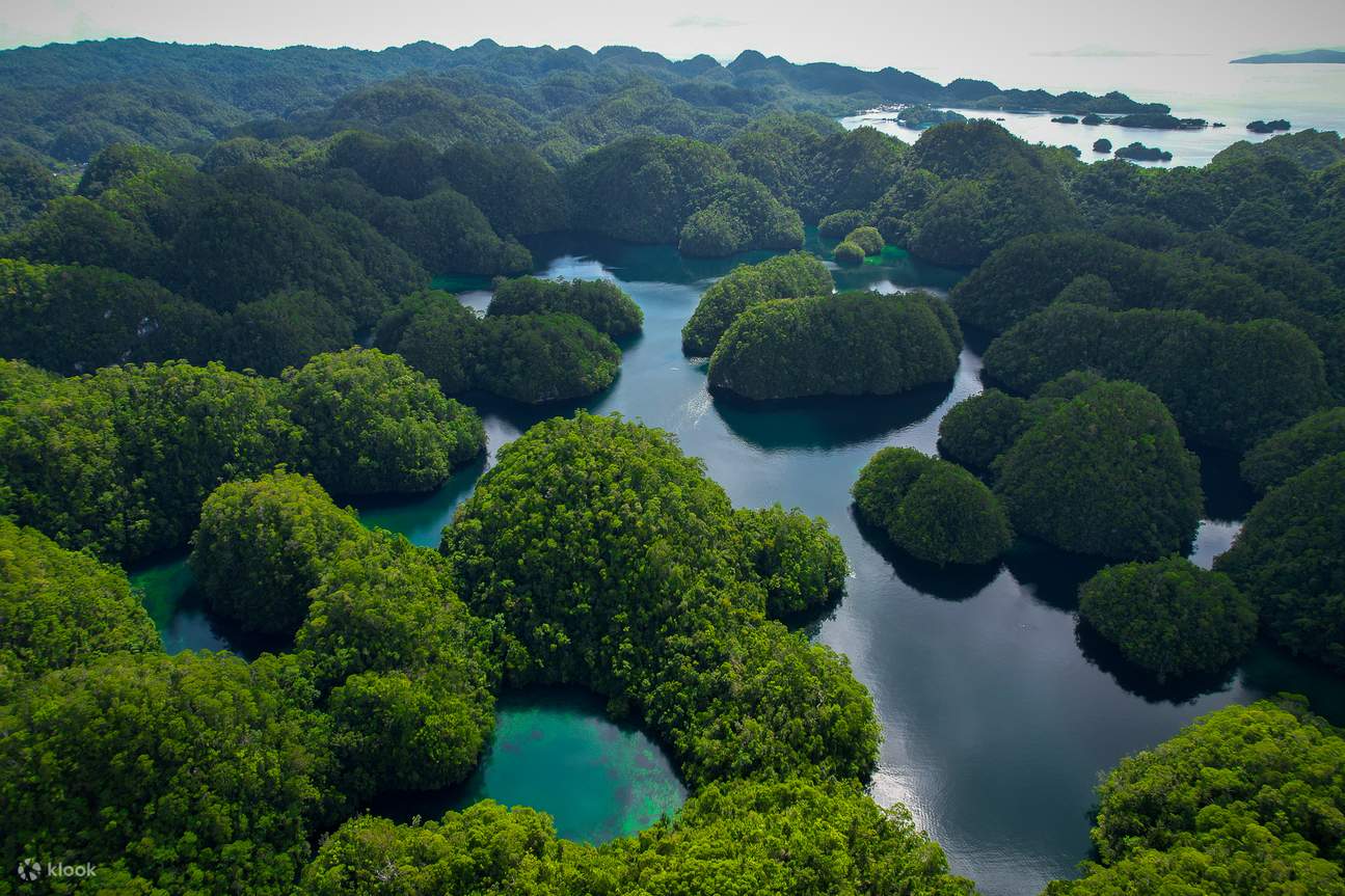 Sohoton Cove and Jellyfish Sanctuary Private Day Tour - Klook Philippines