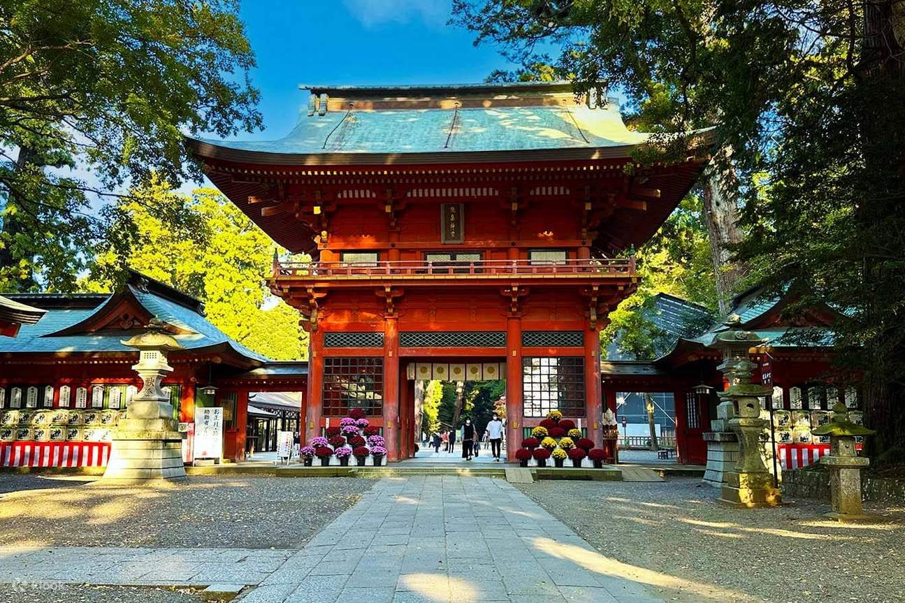 Kashima Shrine, Nakaminato Fish Market, and Oarai Aquarium 1-Day Tour ...