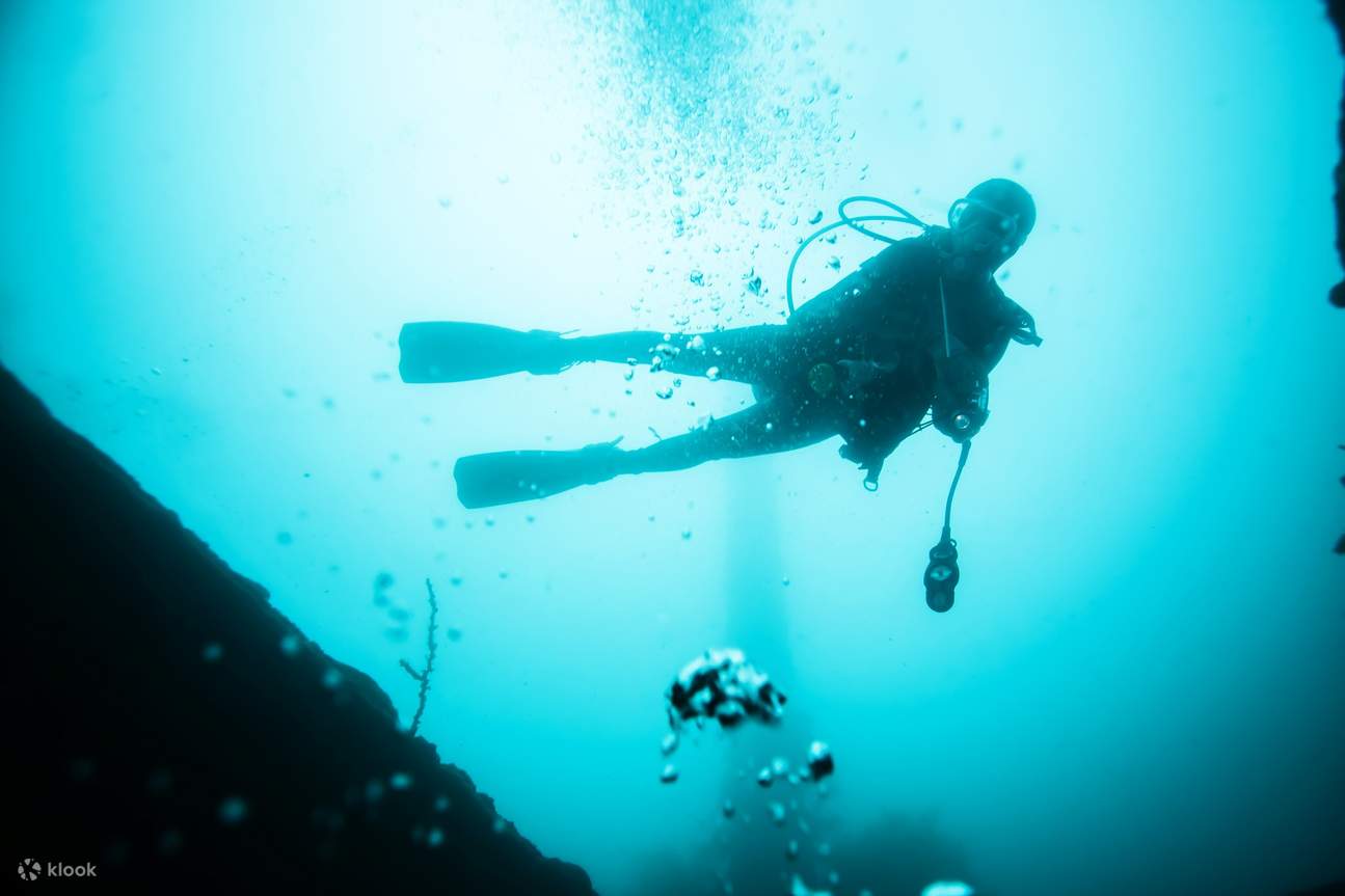 Scuba Diving Experience in Bodrum - Klook