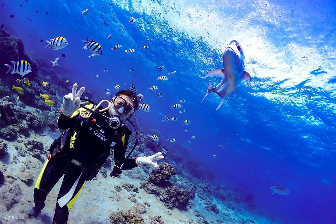 Pingtung Kenting Nanyong Diving Center Diving Experience・PADI Beginner ...