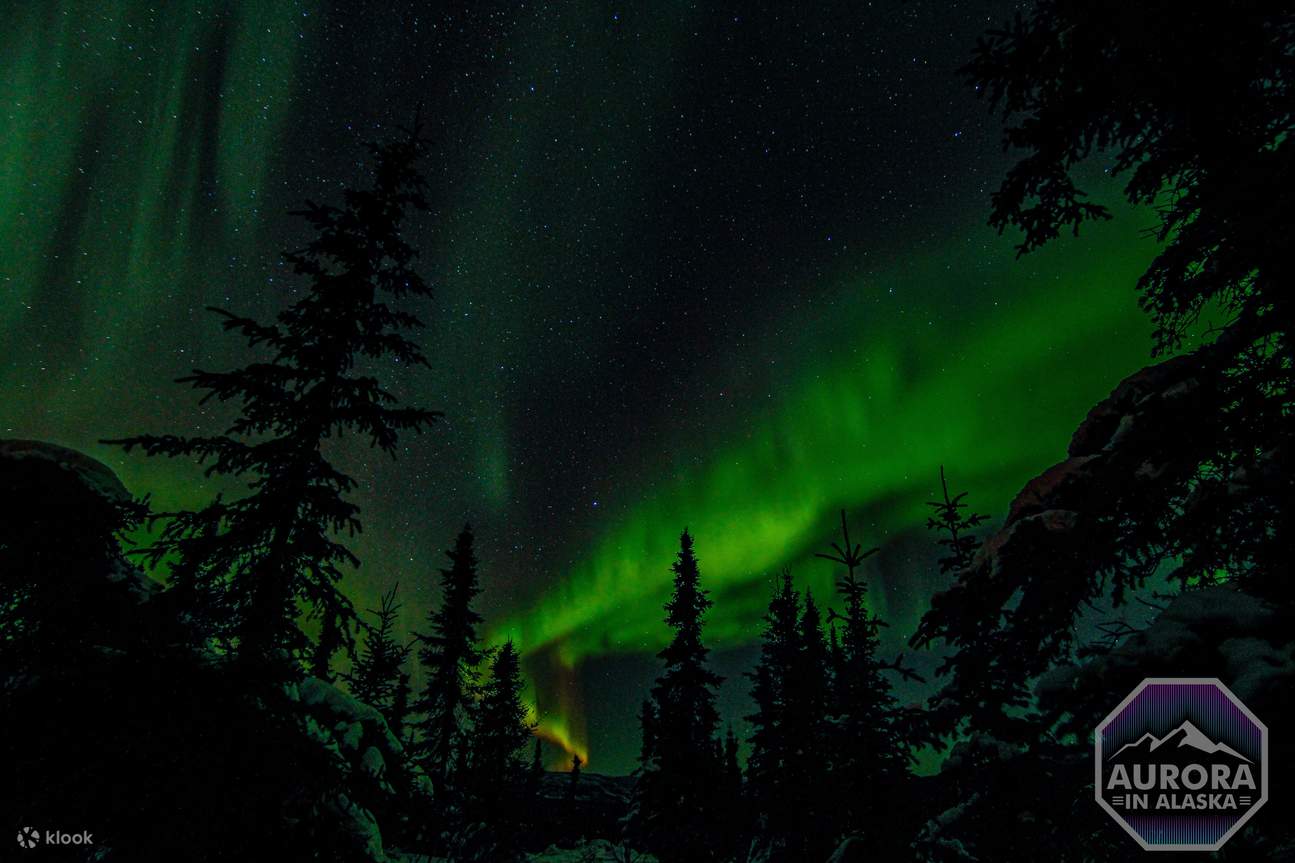Incredible Aurora Viewing Adventure - Klook United States