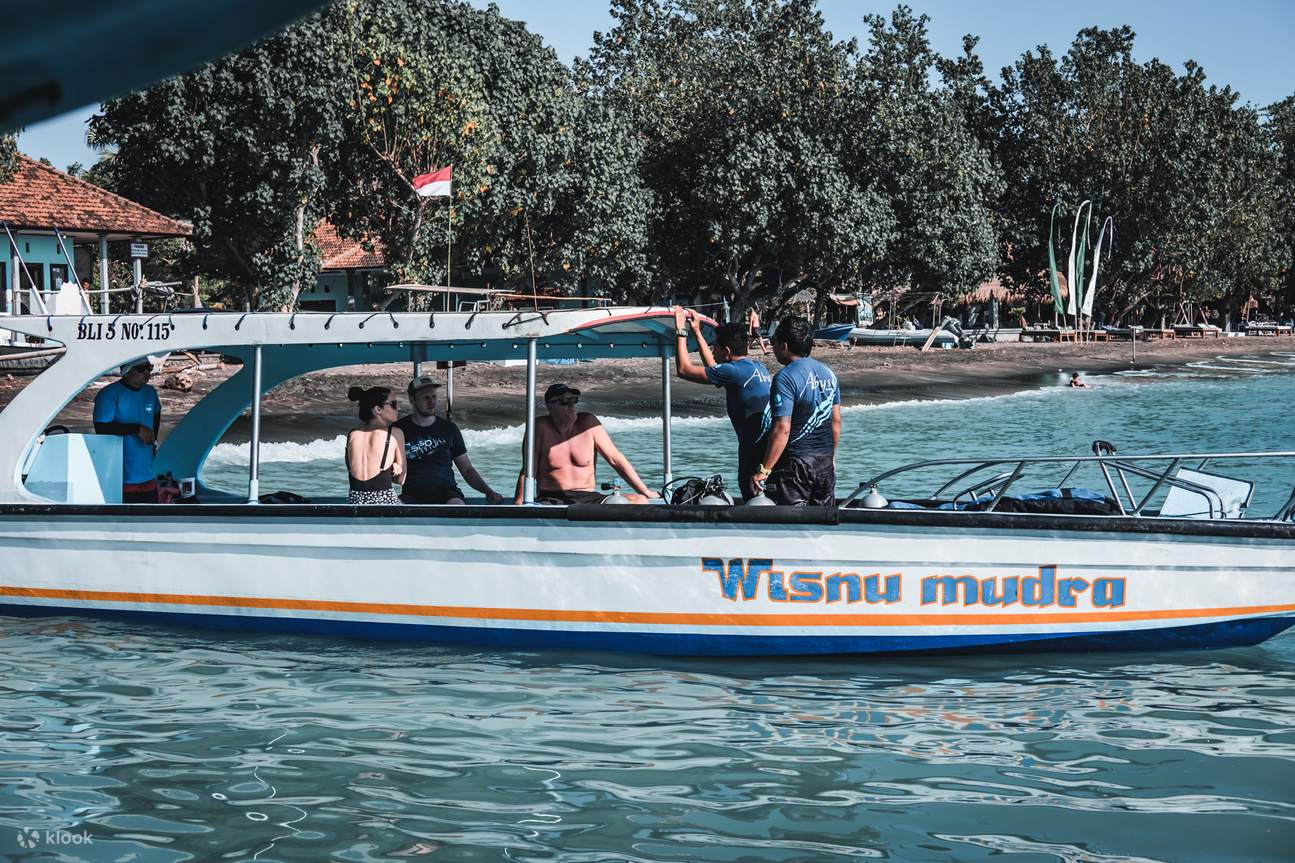 Explore Menjangan Island in Bali with 2 Boat Dives at PADI 5 Star Dive ...