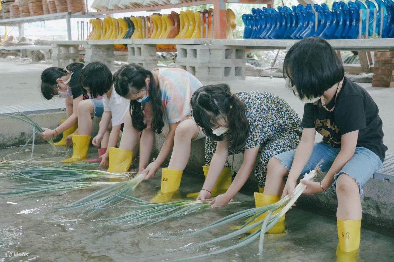 Yilan: Farmer Green Onion Experience Farm - Three Star Green Onion ...