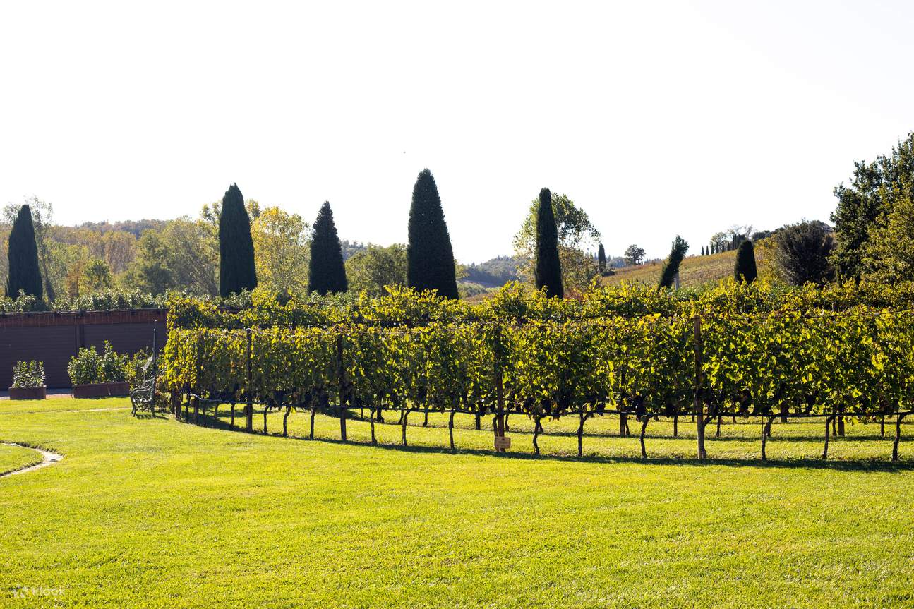 Chianti Join In Half Day Tour from Florence - Klook Australia
