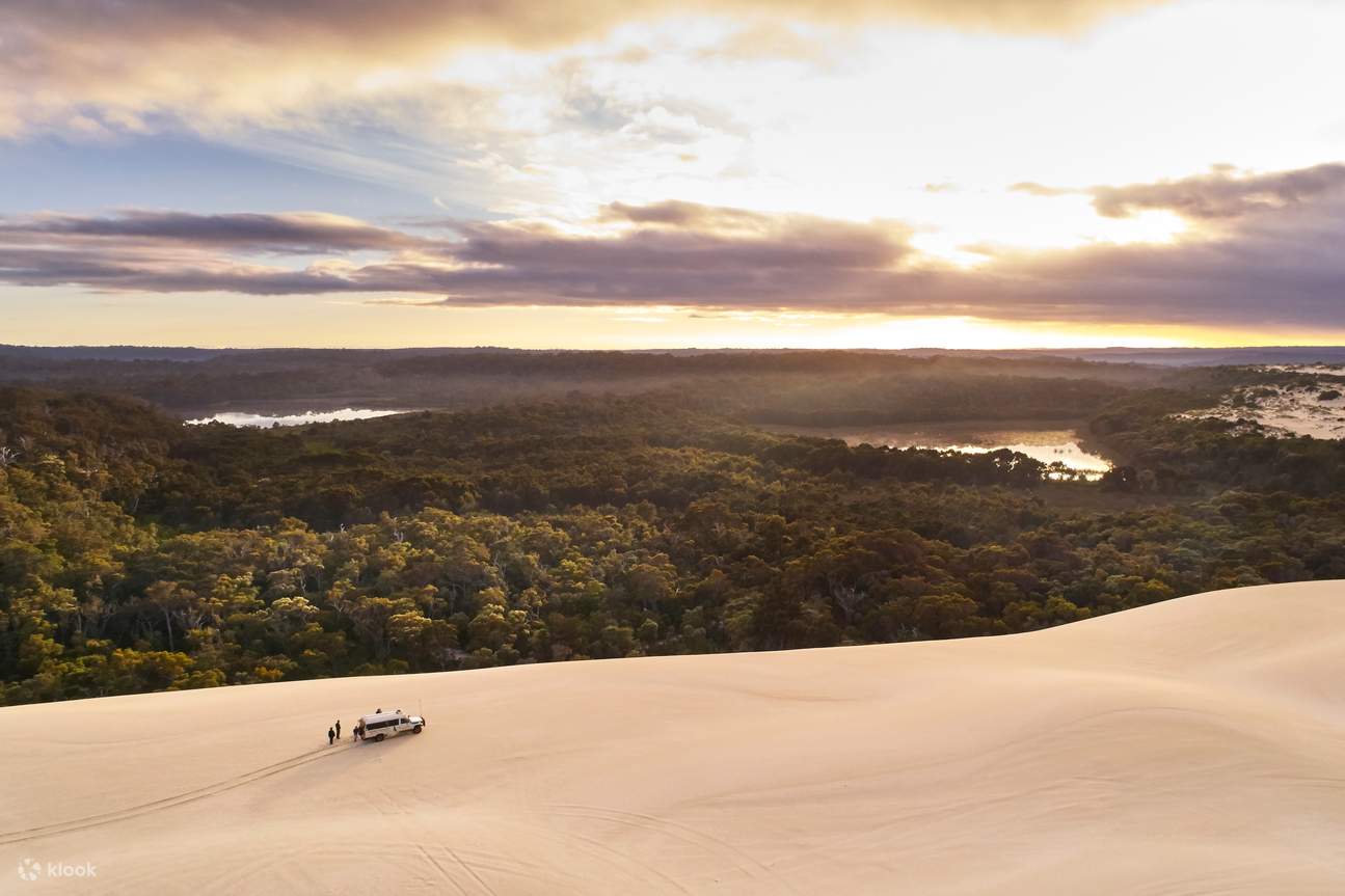 Warren National Park & Great Southern Ocean 4WD Tour in Pemberton ...