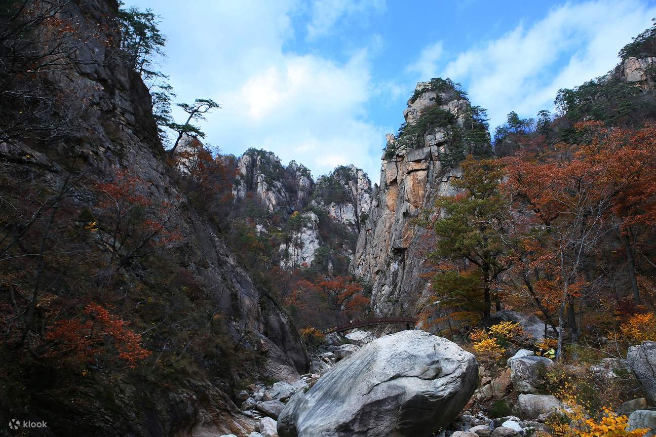 Mt. Seorak & The Tallest Ginko Tree at Yongmunsa - Klook