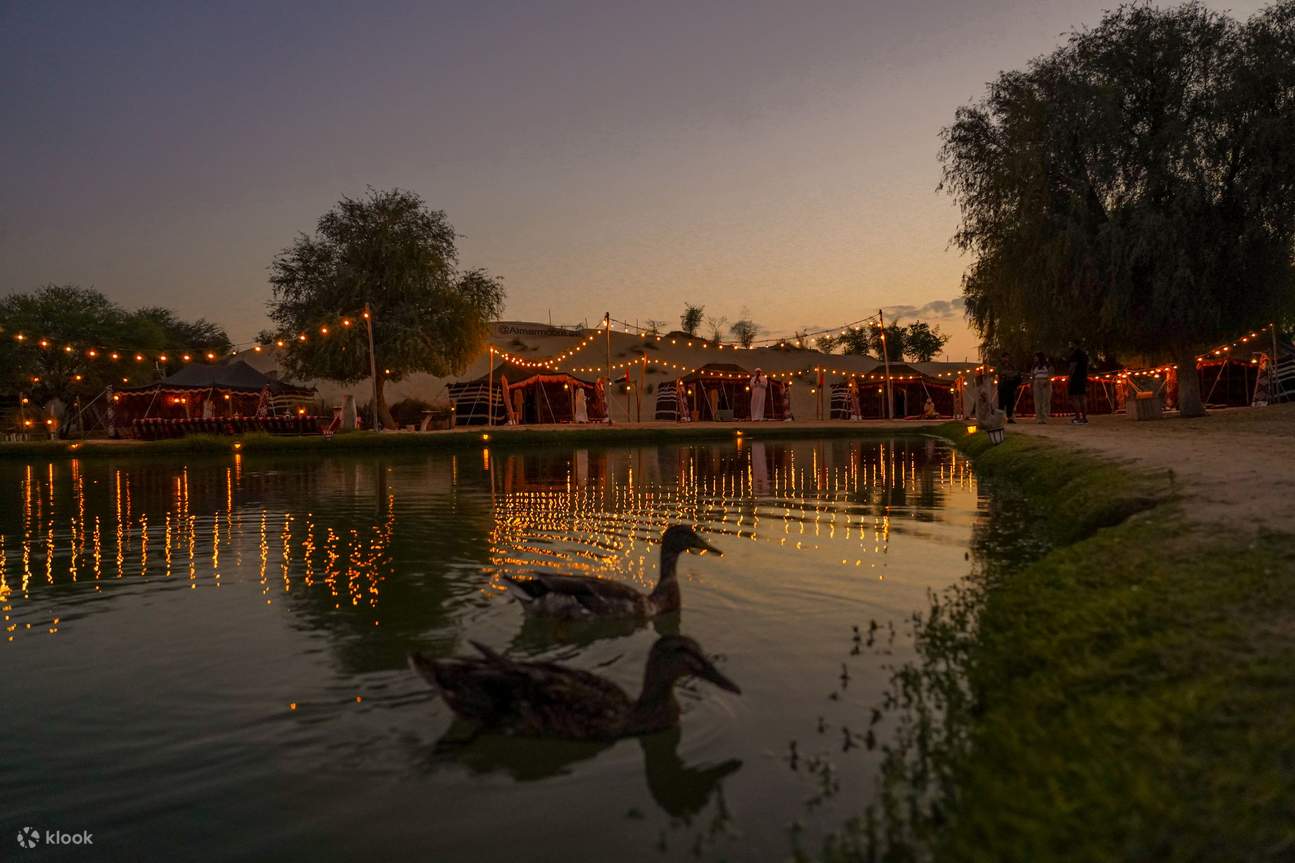 New Year's Eve Celebration & BBQ Dinner at Al Marmoom Oasis - Klook ...