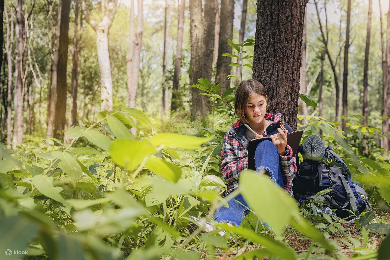 AISL Outdoor Summer Camp @ Harrow Bangkok - Klook United States