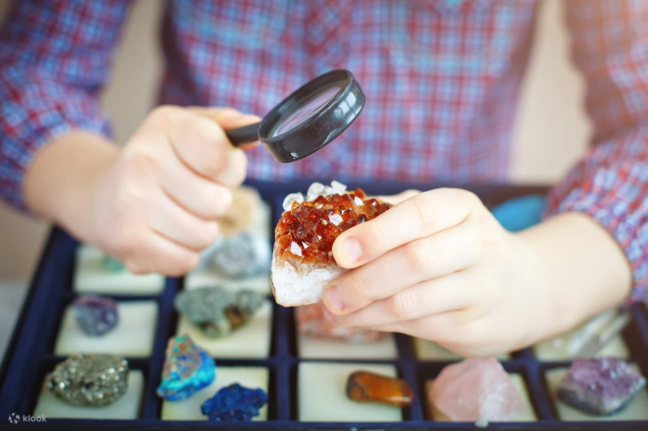 Noah's Academy Camps | Creativity Exploration Fun Camp / STEAM Missions ...