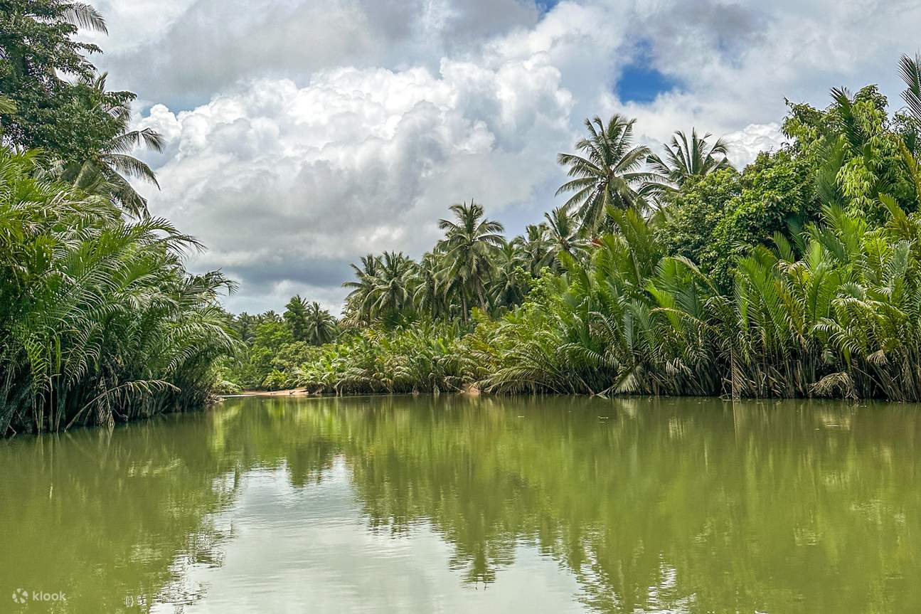 Nature Experience in Palawan: El Nido Mangrove Kayaking Experience ...