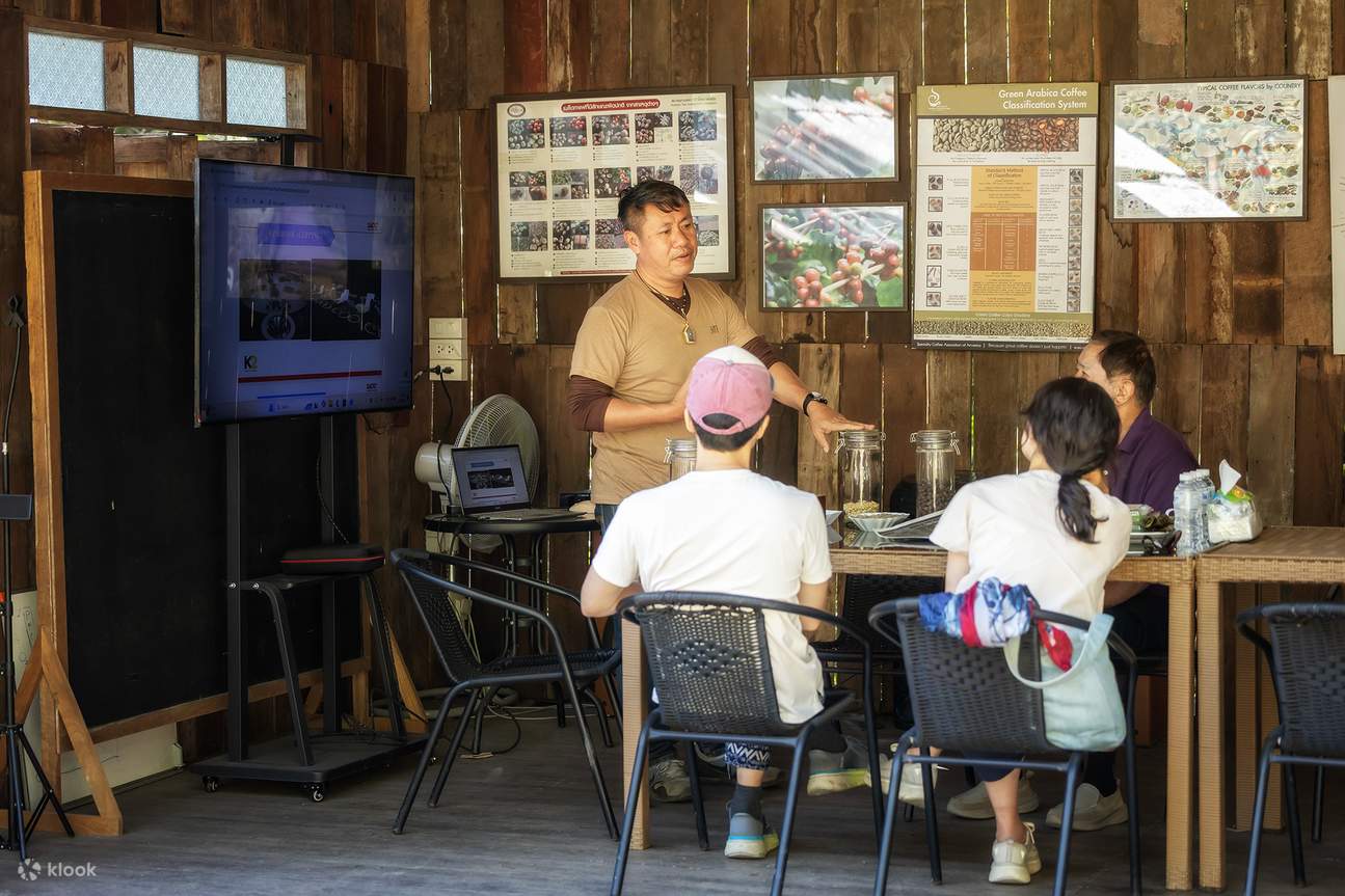Coffee Plantation 1 Day Visit at Pang-Hai Village in Chaing Mai - Klook ...