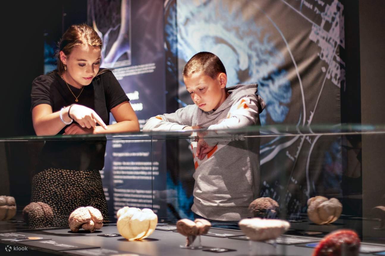 Amsterdam Body Worlds The Happiness Project Tickets - Klook Stati Uniti