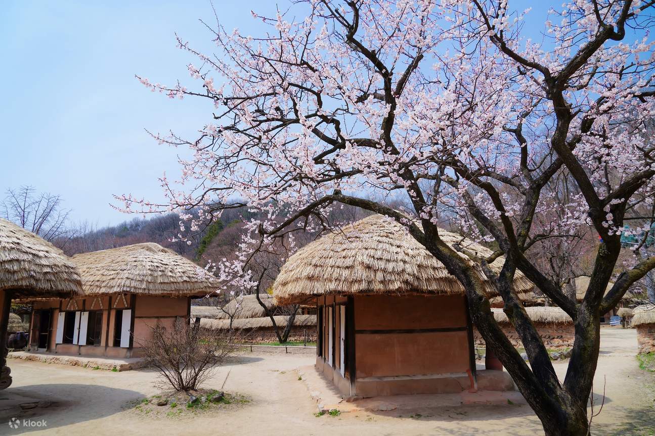 [Klook] Suwon Hwaseong and Korean Folk Village - Klook