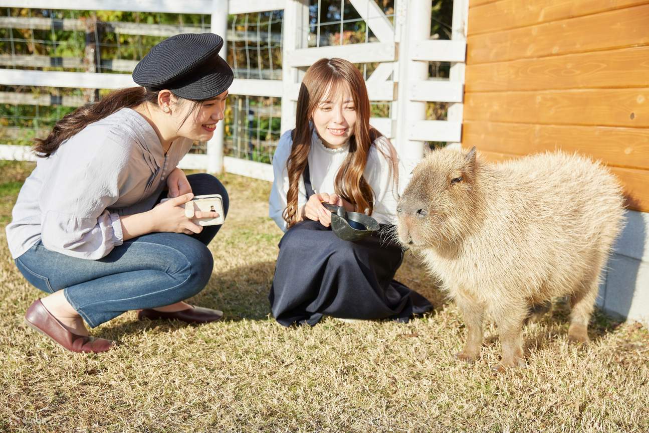 Sama seperti Italia! Kirakirasaka + Taman Hutan Okayama Hutan Jerman ...
