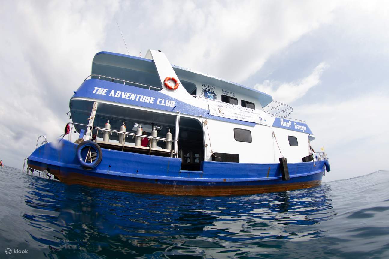 Get Certified as a PADI Open Water Diver on Phi Phi Island at Our PADI ...