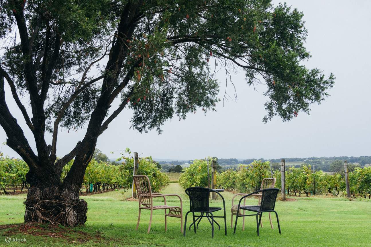 The Parched Crow Wine Co Wine Tasting In Hunter Valley, Australia - Klook