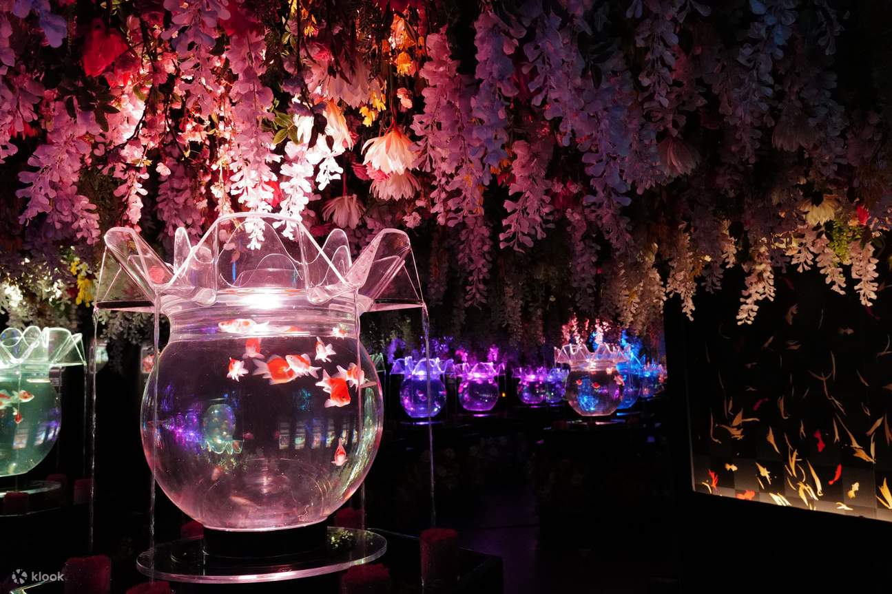 Art Aquarium Museum GINZA Admission Ticket - Klook United States