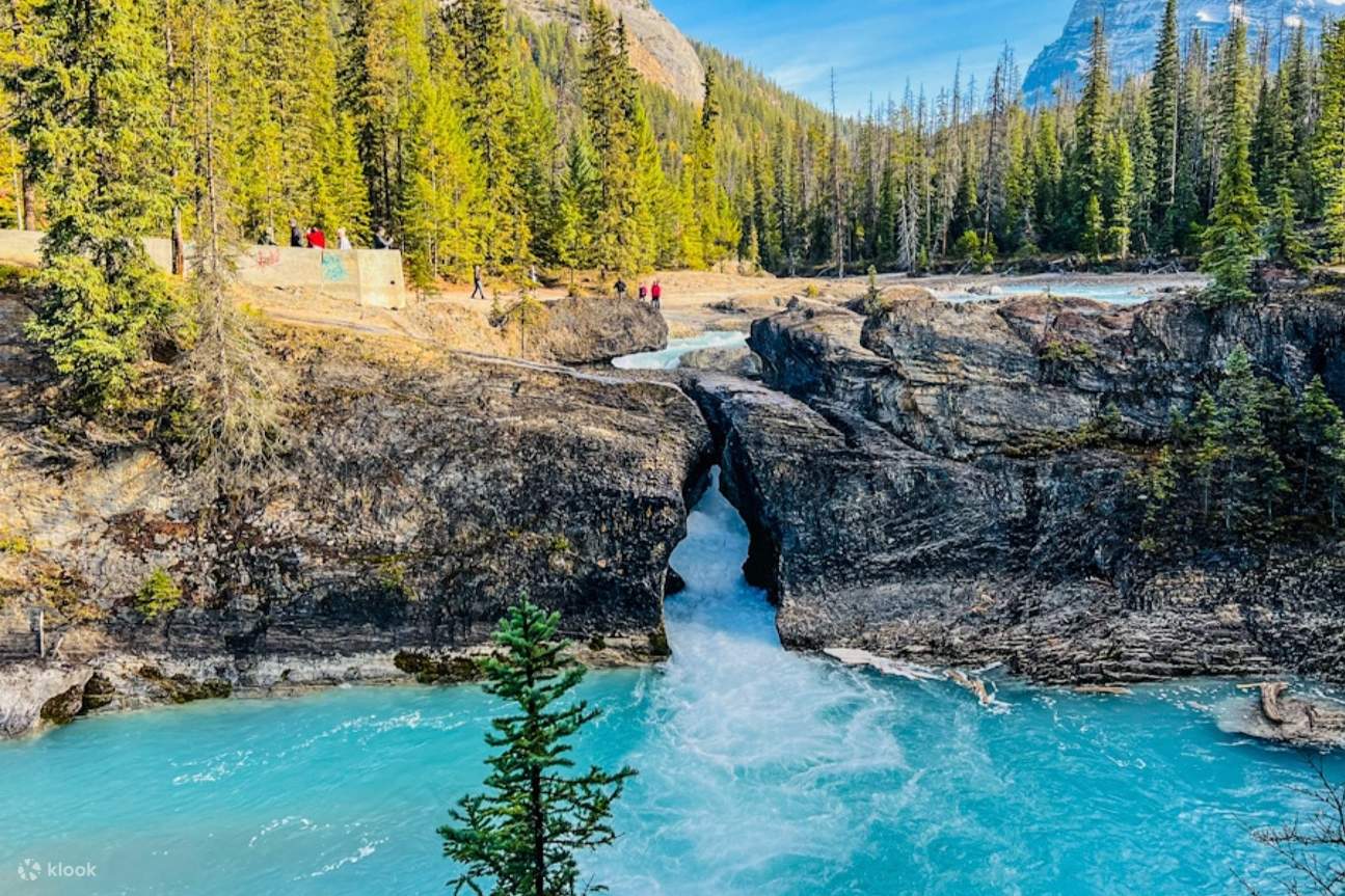 Lake Louis, Emerald Lake, and Marble Canyon Icewalk Tour in Banff - Klook