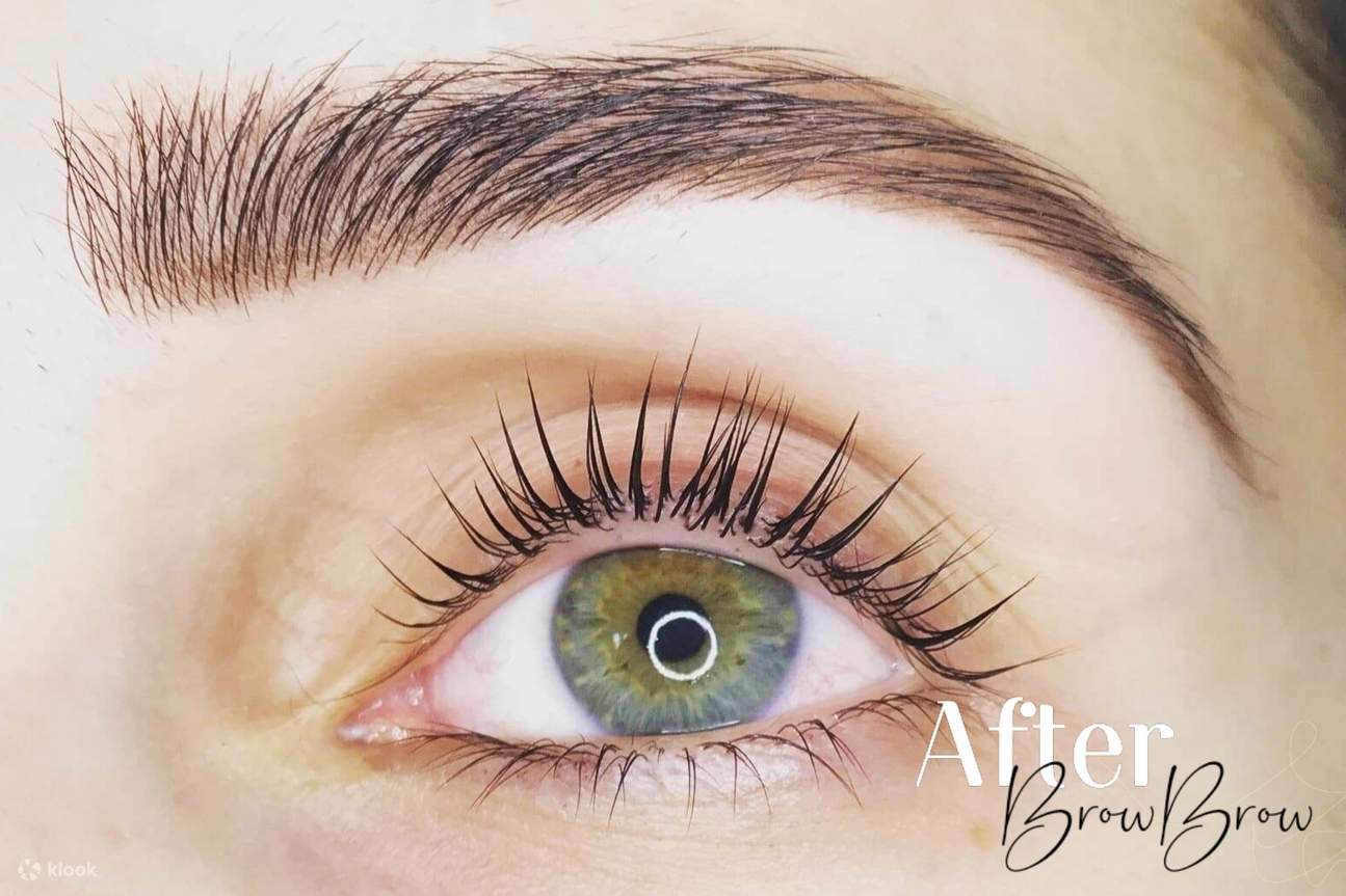 Brow Brow Beauty Place Eyelash Service in Causeway Bay, Tsim Sha Tsui ...