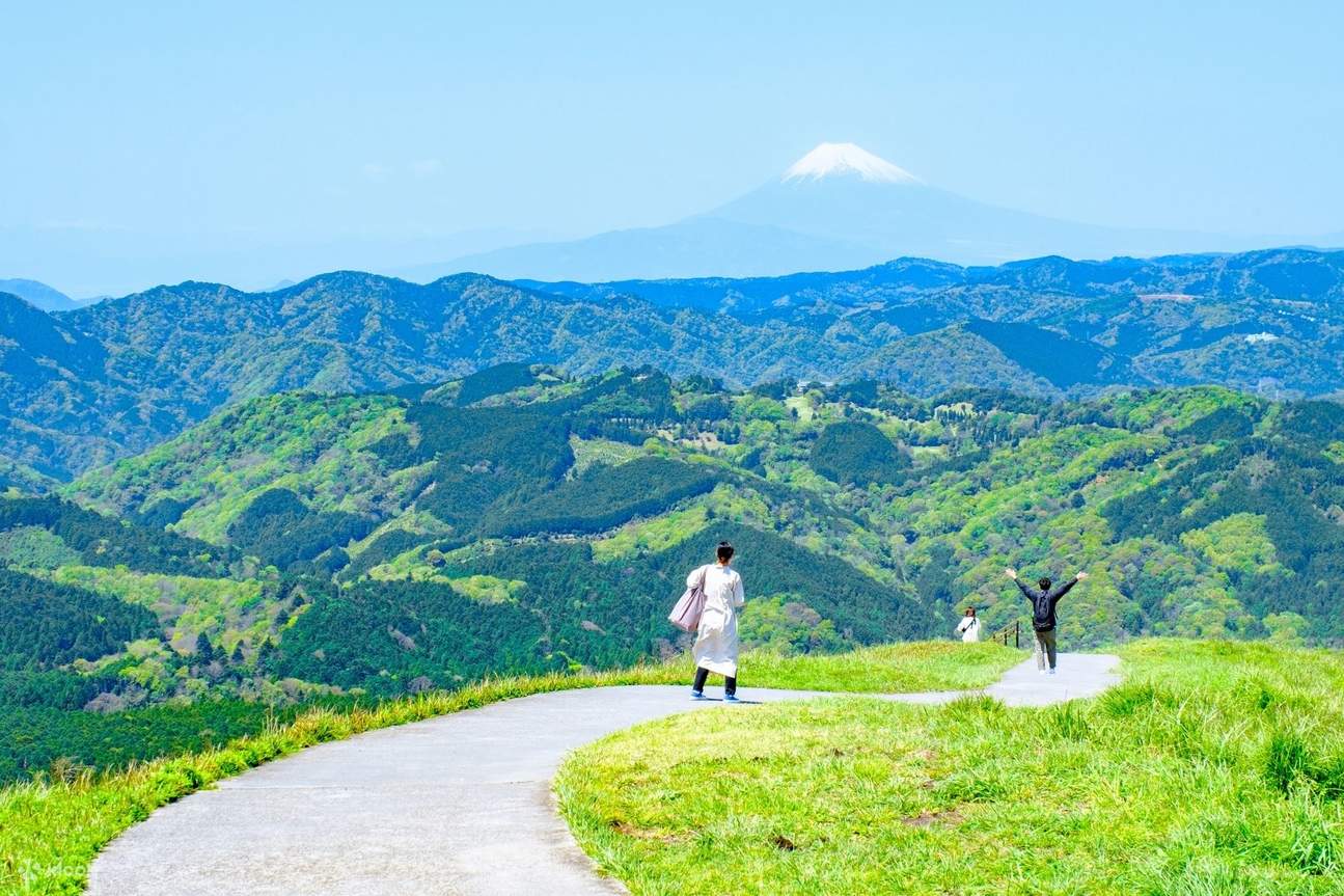 Mount Omuro Ropeway, Jōgasaki Coast, Hakone Shrine, and Ito Marine Town ...