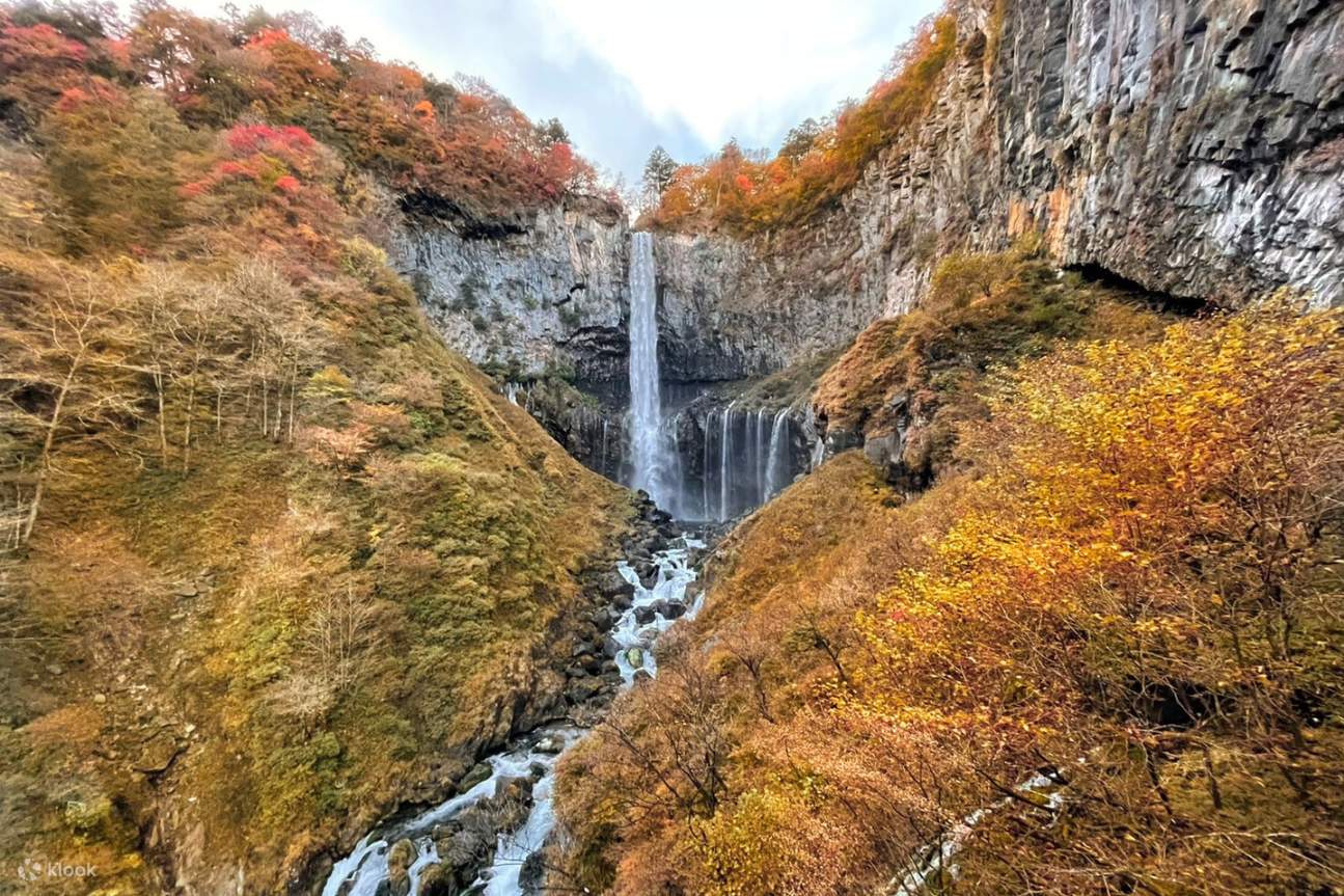 Shinkyo, Nikko Toshogu, & Lake Chuzenji Day Tour with Maple Viewing ...