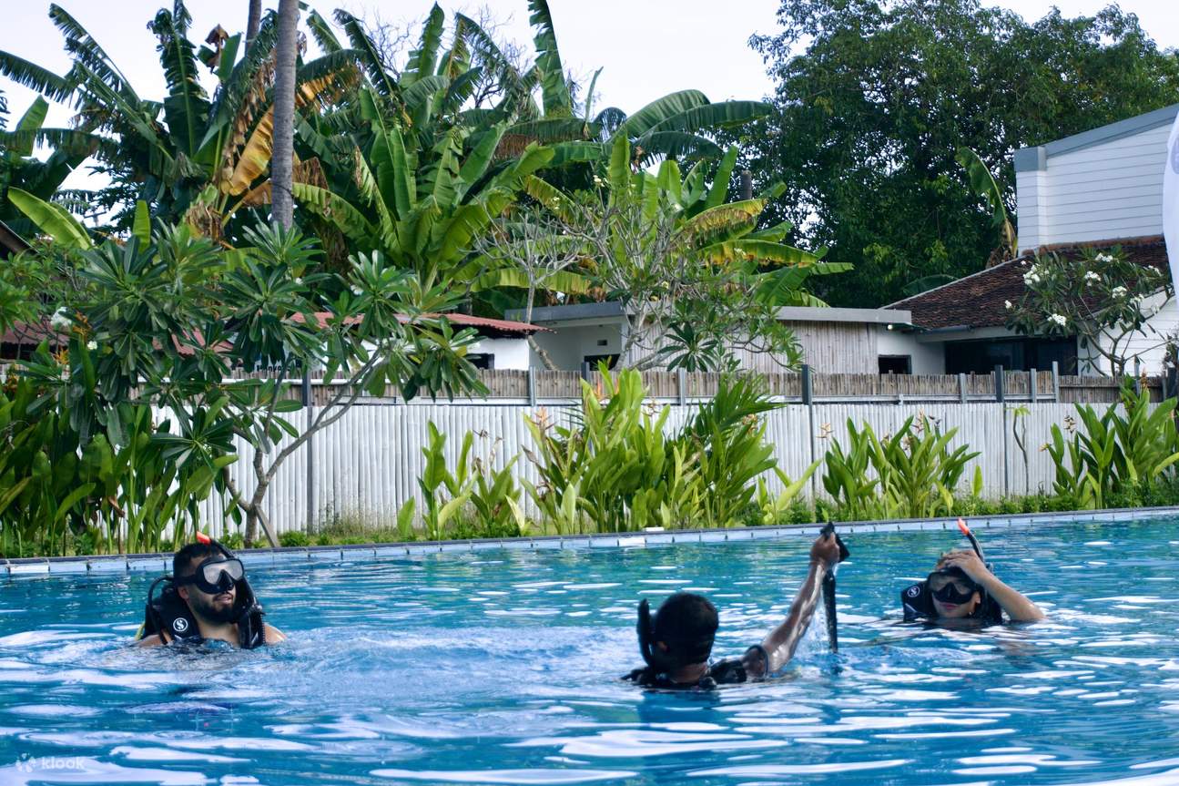 PADI OW Diver Course in Bali with PADI Dive Center - Learn Scuba Diving ...