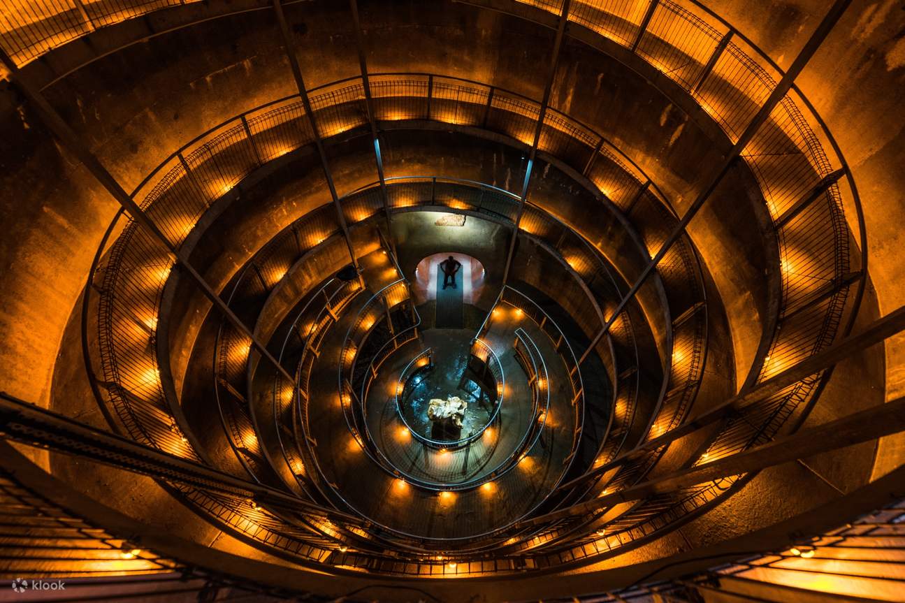 Waitomo Caves and Kiwi House Small Group Tour From Auckland - Klook ...