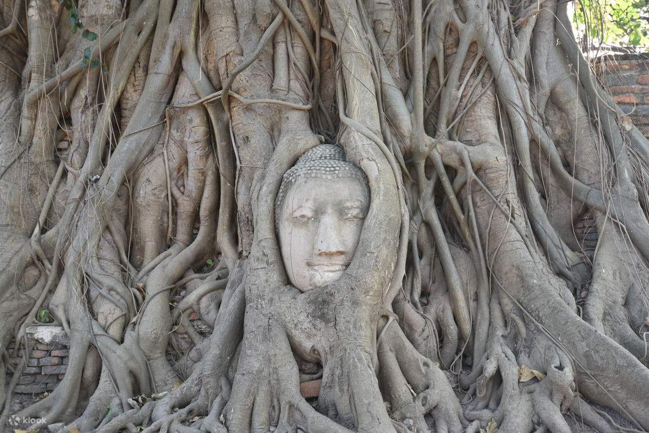 Wander Around Incredible Temple Grounds in This Ancient Ayutthaya ...