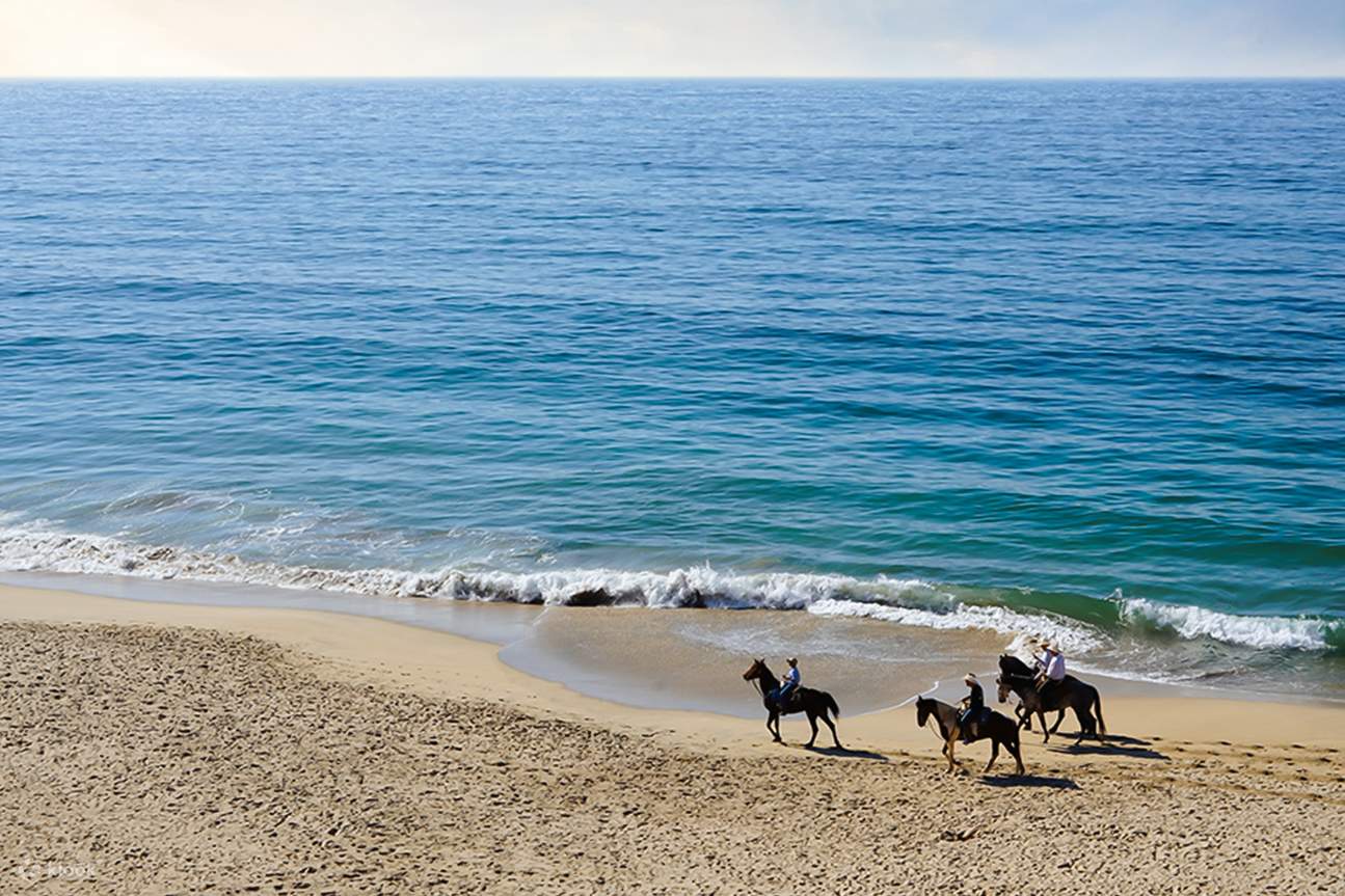 Beach horse riding experience in Jeddah - Klook Philippines