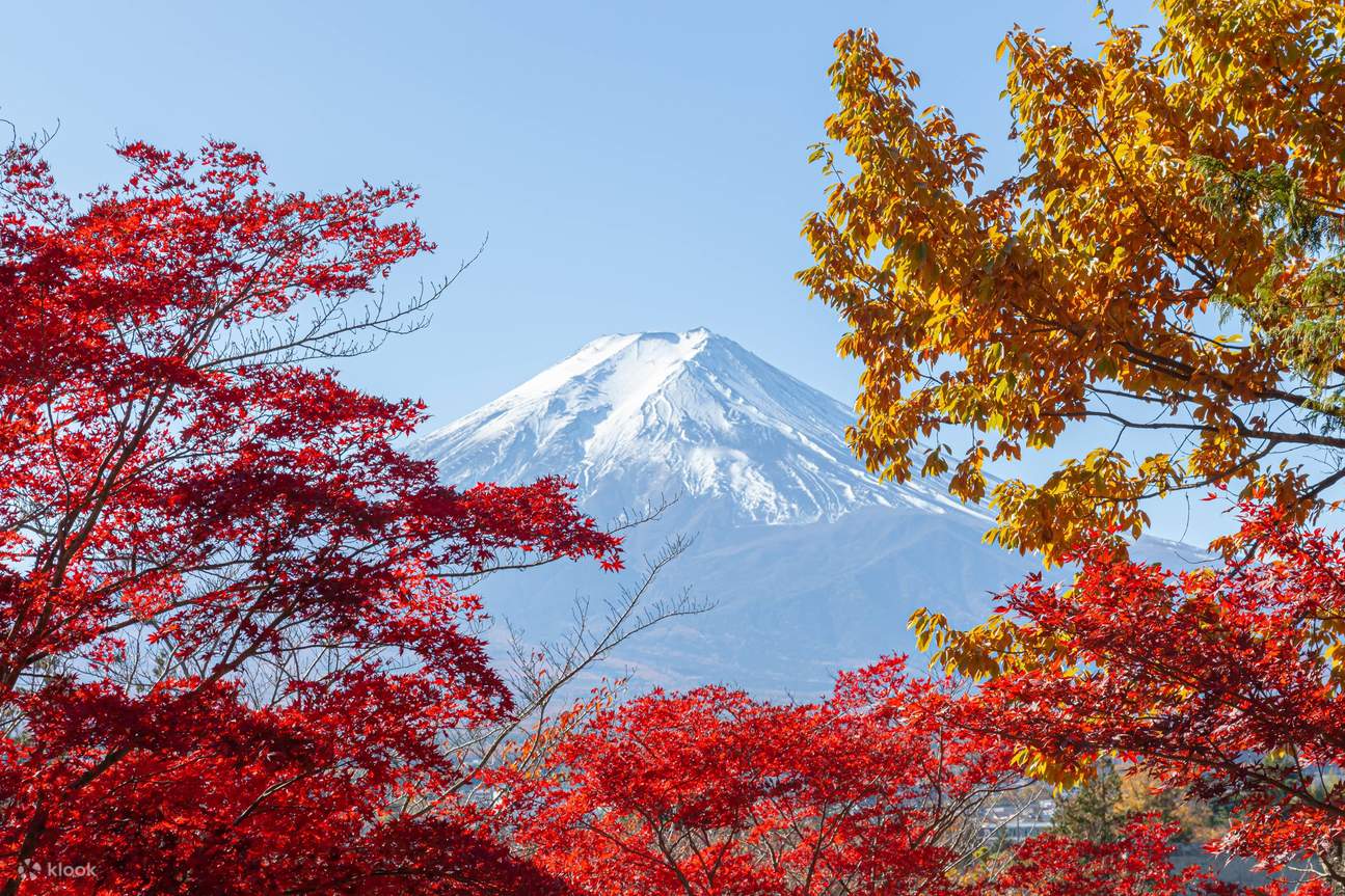 Mount Fuji Arakurayama Park Oshino Hakkai Kawaguchiko Bus Tour from Tokyo - Klook