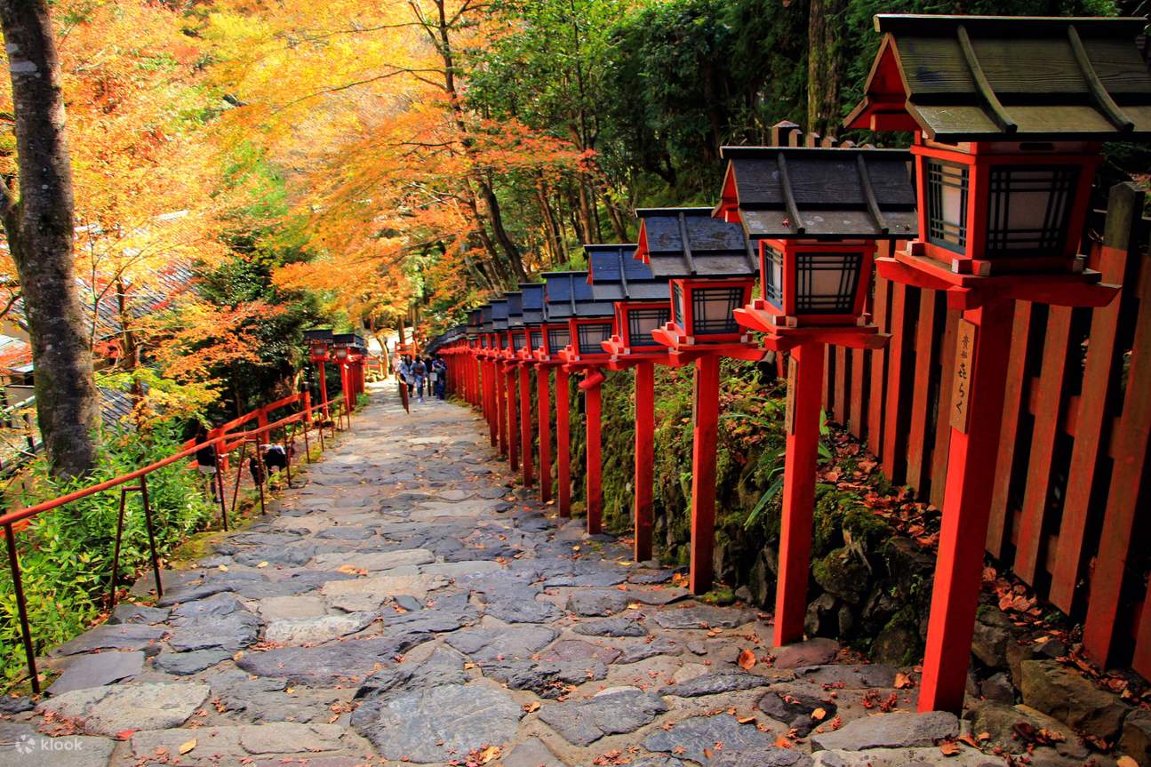 One-day maple viewing tour to Tofukuji Temple & Fusanzanzaka & Kibune ...