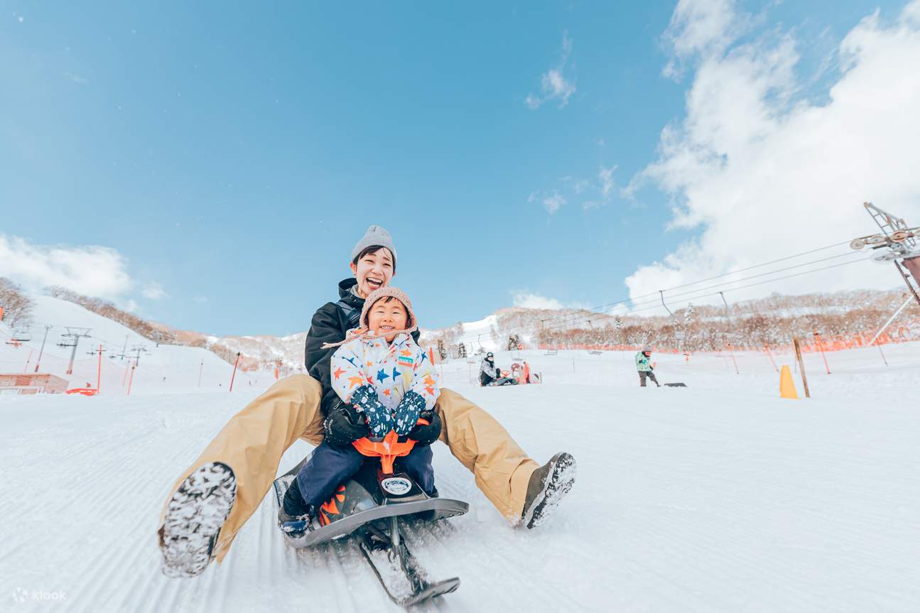 Dynaland Ski Resort Ticket (Gifu) - Klook India