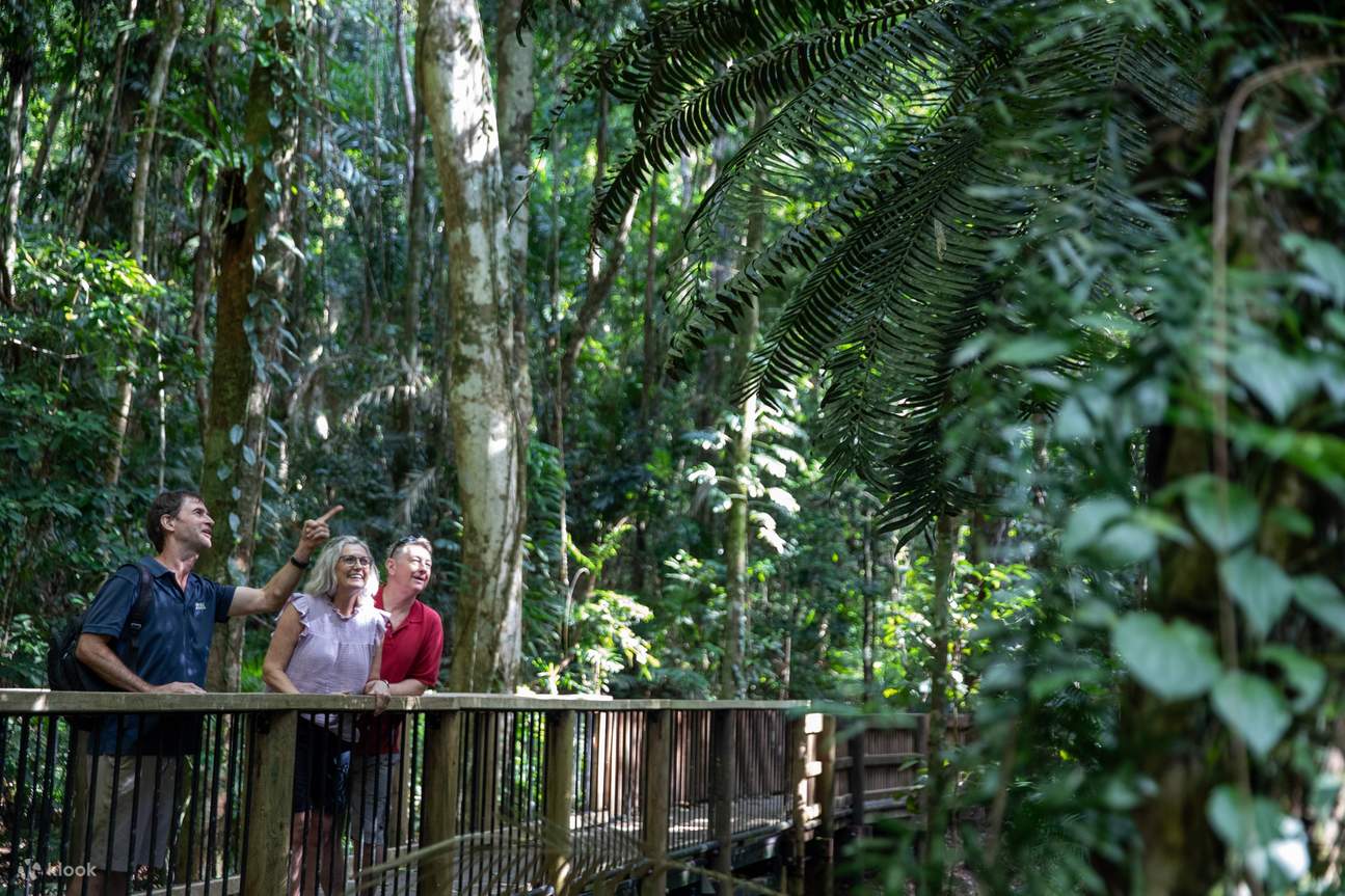Daintree Rainforest Join In One Day Walking Tour from Port Douglas - Klook