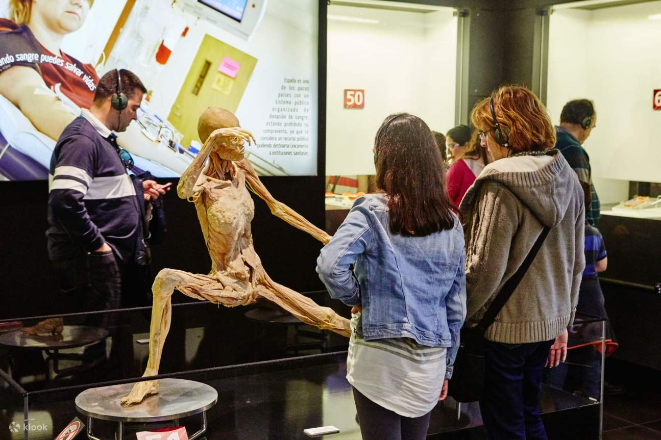 Human Bodies Exhibition Admission Ticket in Barcelona - Klook