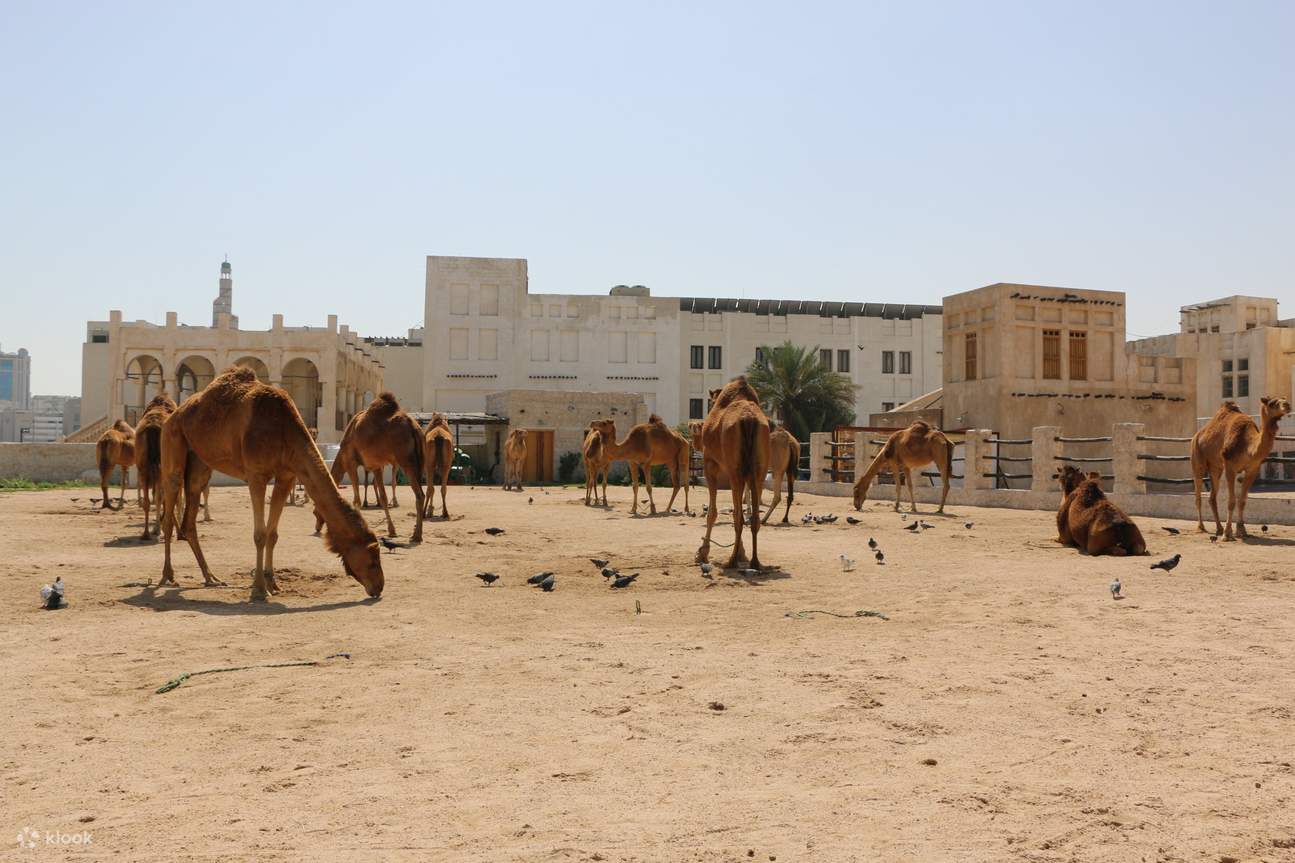 Tour Tham Quan Thành Phố Doha - Klook Việt Nam