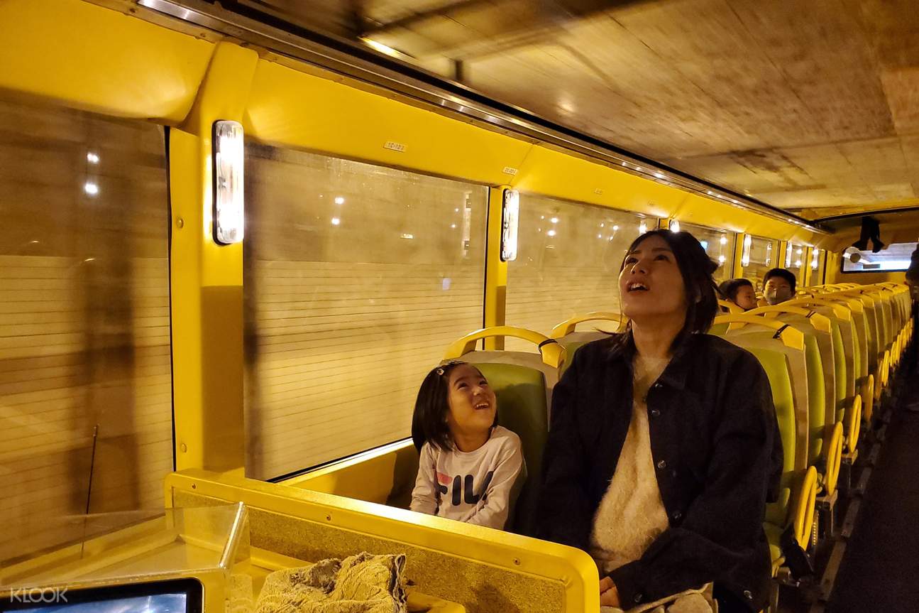 Churashima Open Top Bus Tour by Cerulean Blue Okinawa (Naha departure ...