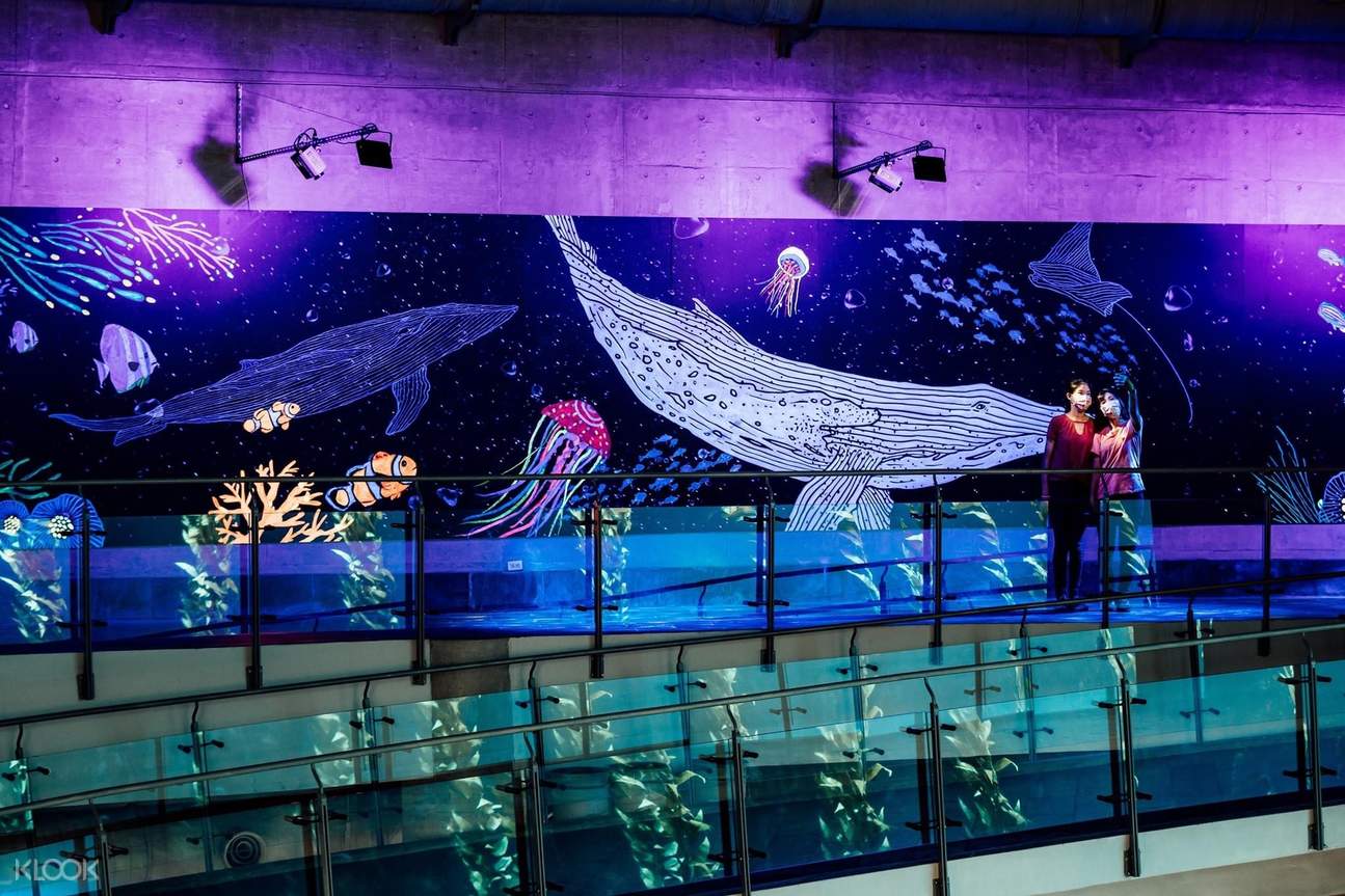 Kenting National Museum of Marine Biology & Aquarium Admission Ticket